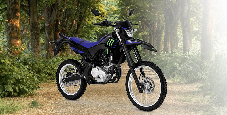 Yamaha WR 155 R Monster Energy Meluncur di Harga 30 Jutaan | Pricebook